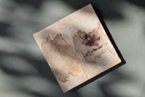 Materials from mycelium tiles to bio-melanin fibers - Textile ...